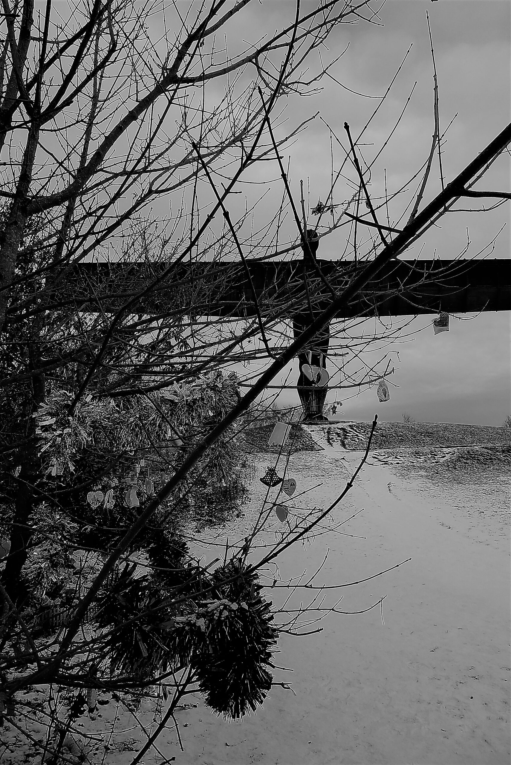 Sounding the Angel – Anne Whitehead