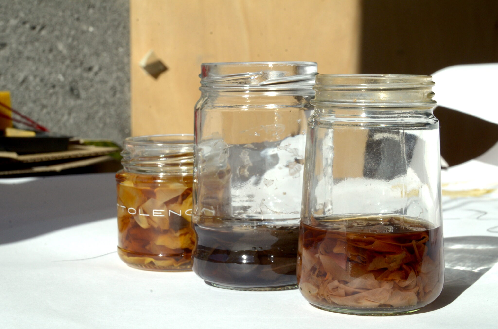 November 2025 – Anne Whitehead