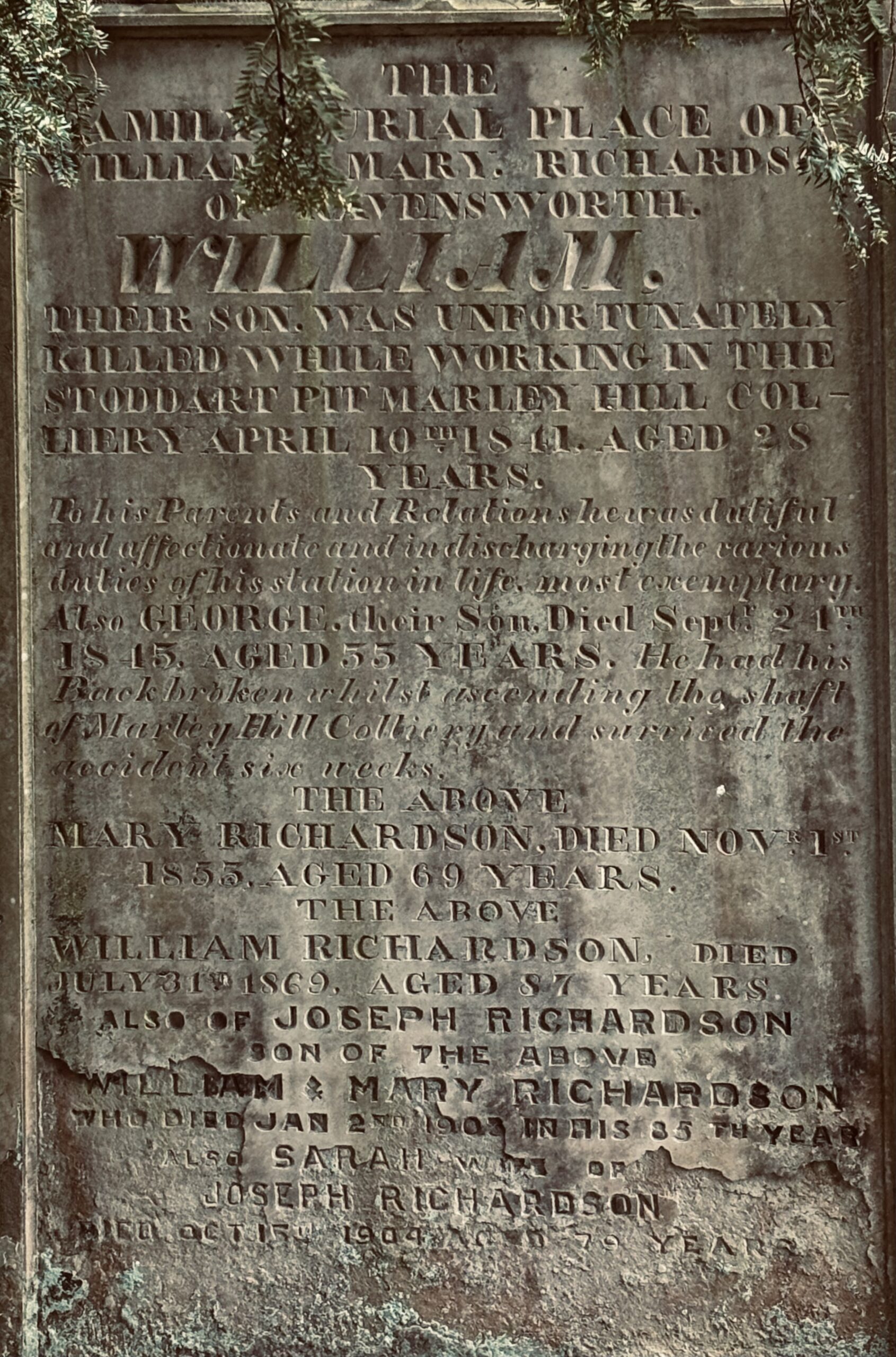 Blog Posts – Anne Whitehead