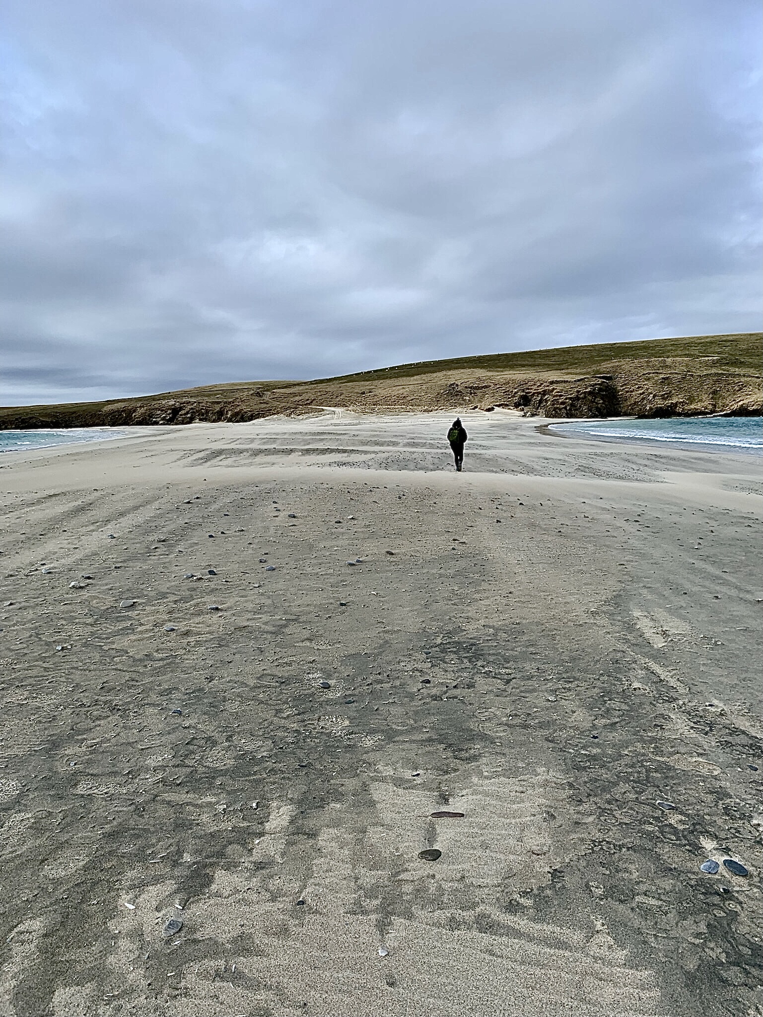 Facing the Future – Anne Whitehead