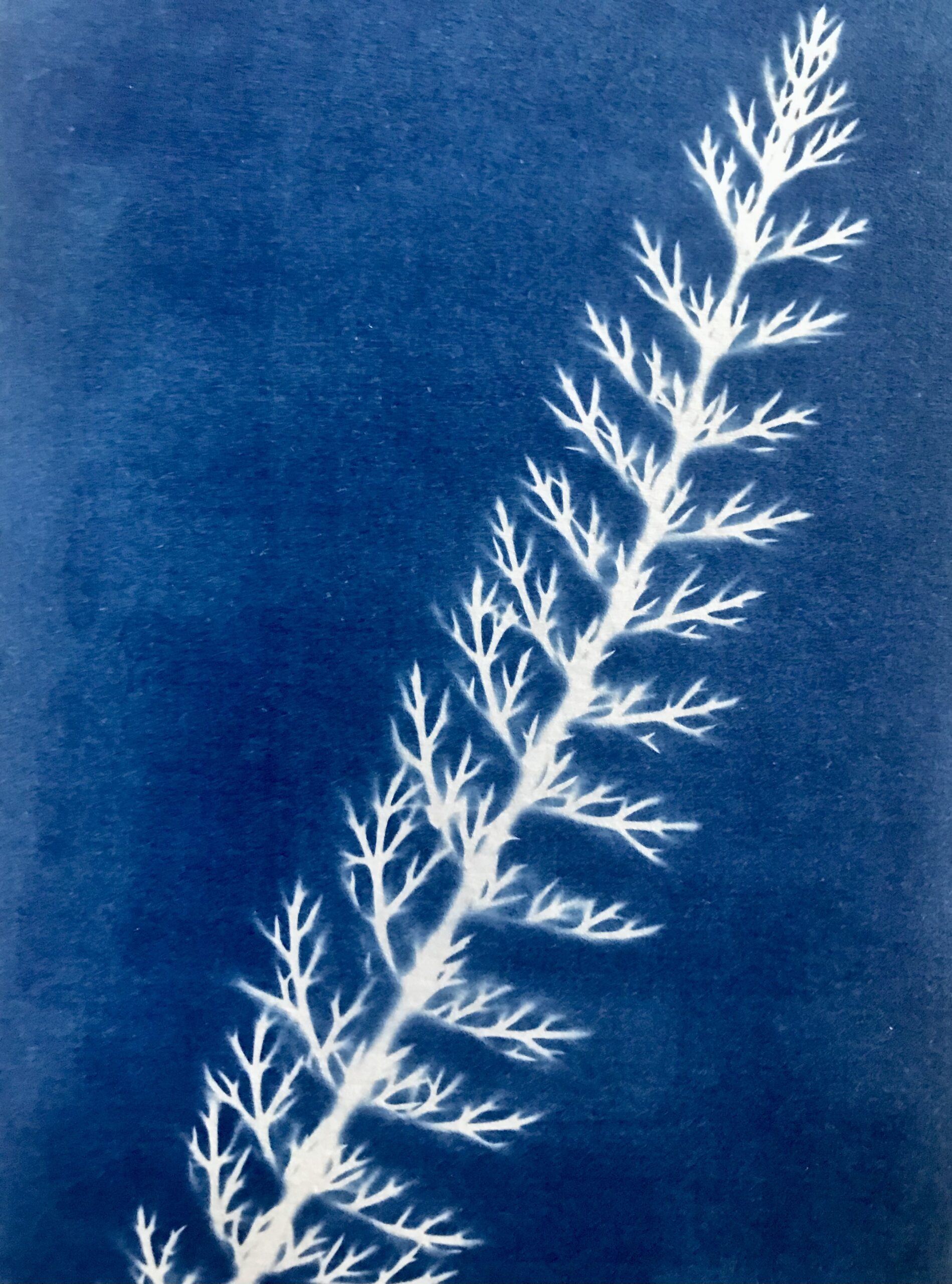 Blog Posts – Anne Whitehead