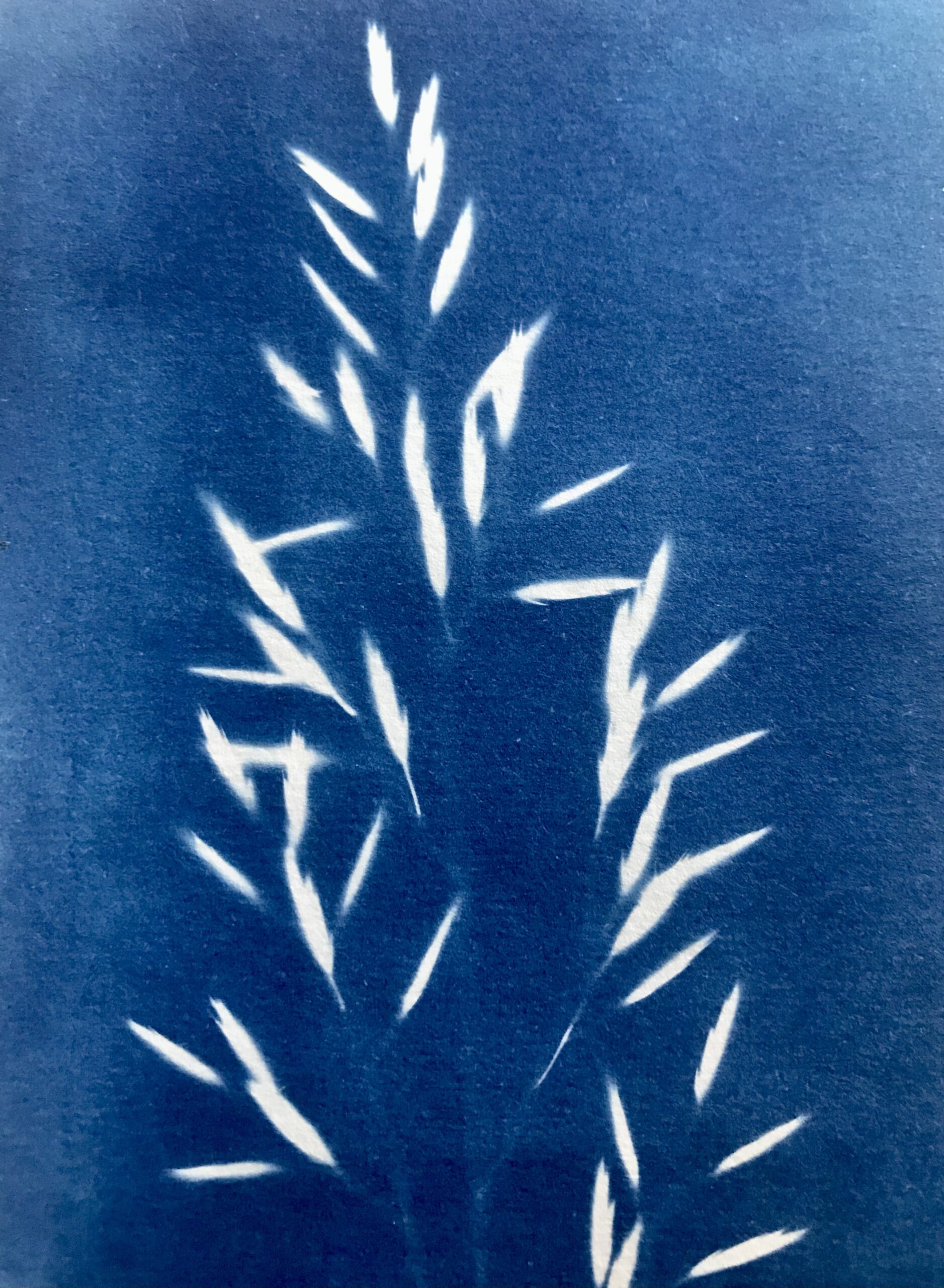 Sounding the Angel – Anne Whitehead