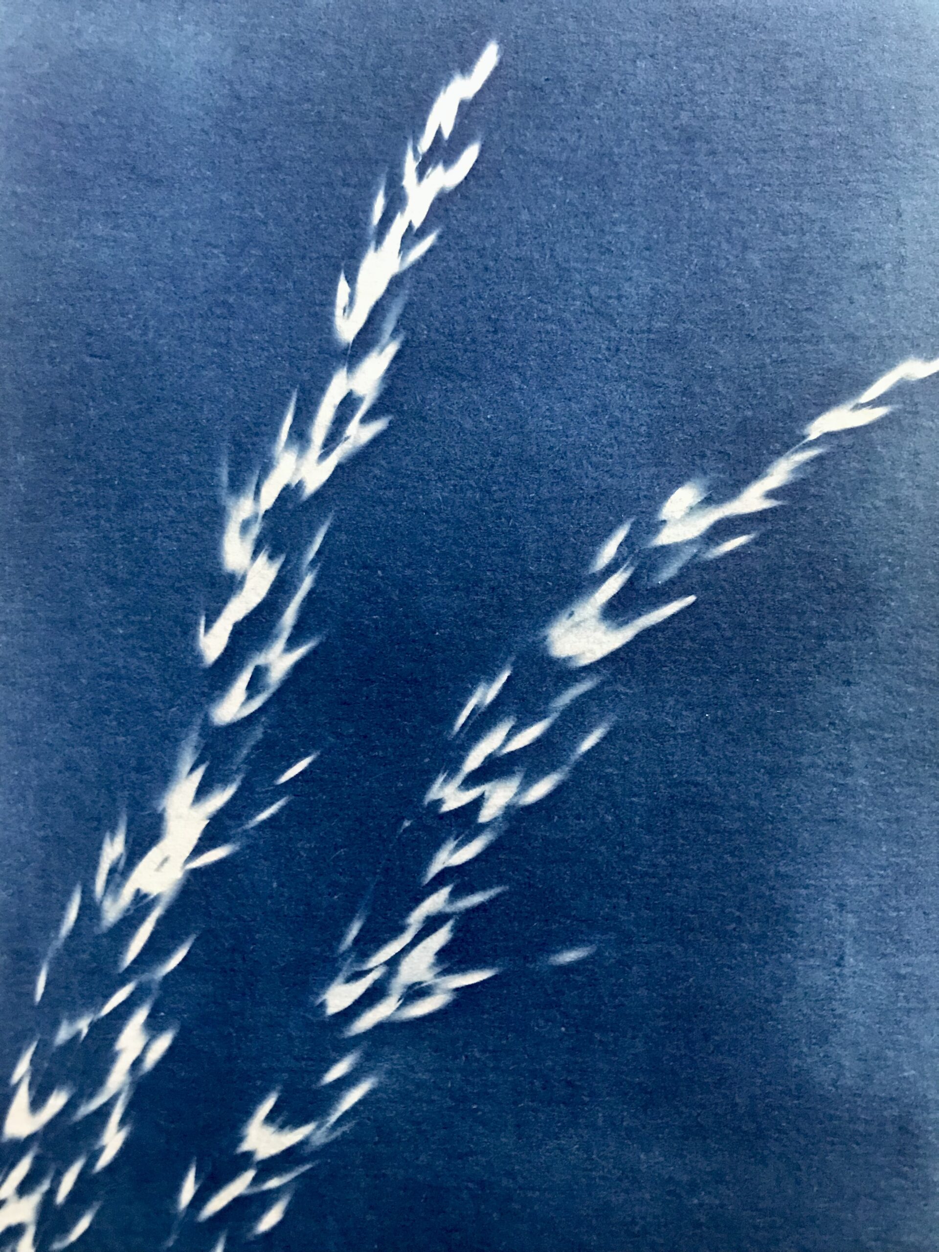 Sounding the Angel – Anne Whitehead