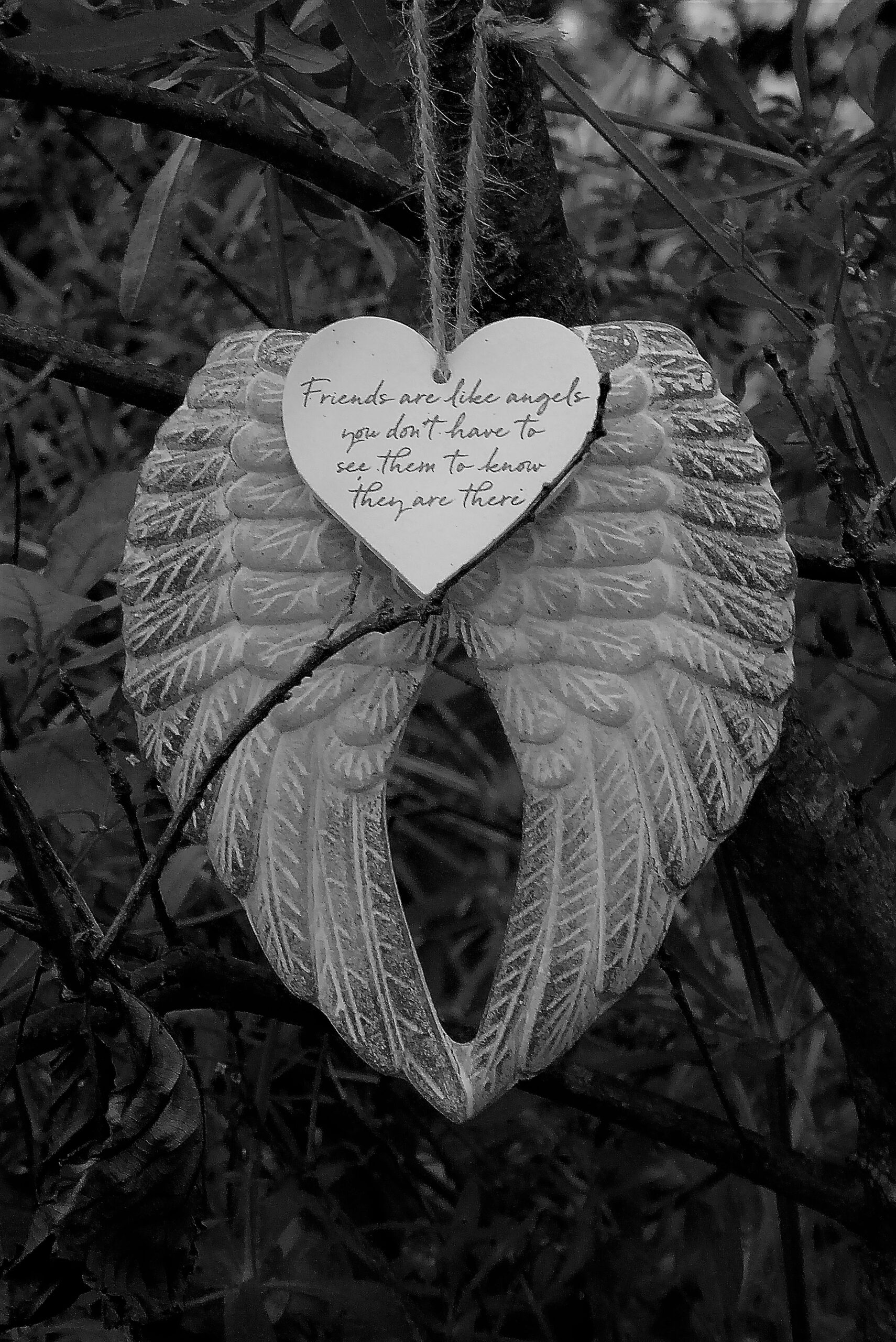 Sounding the Angel – Anne Whitehead