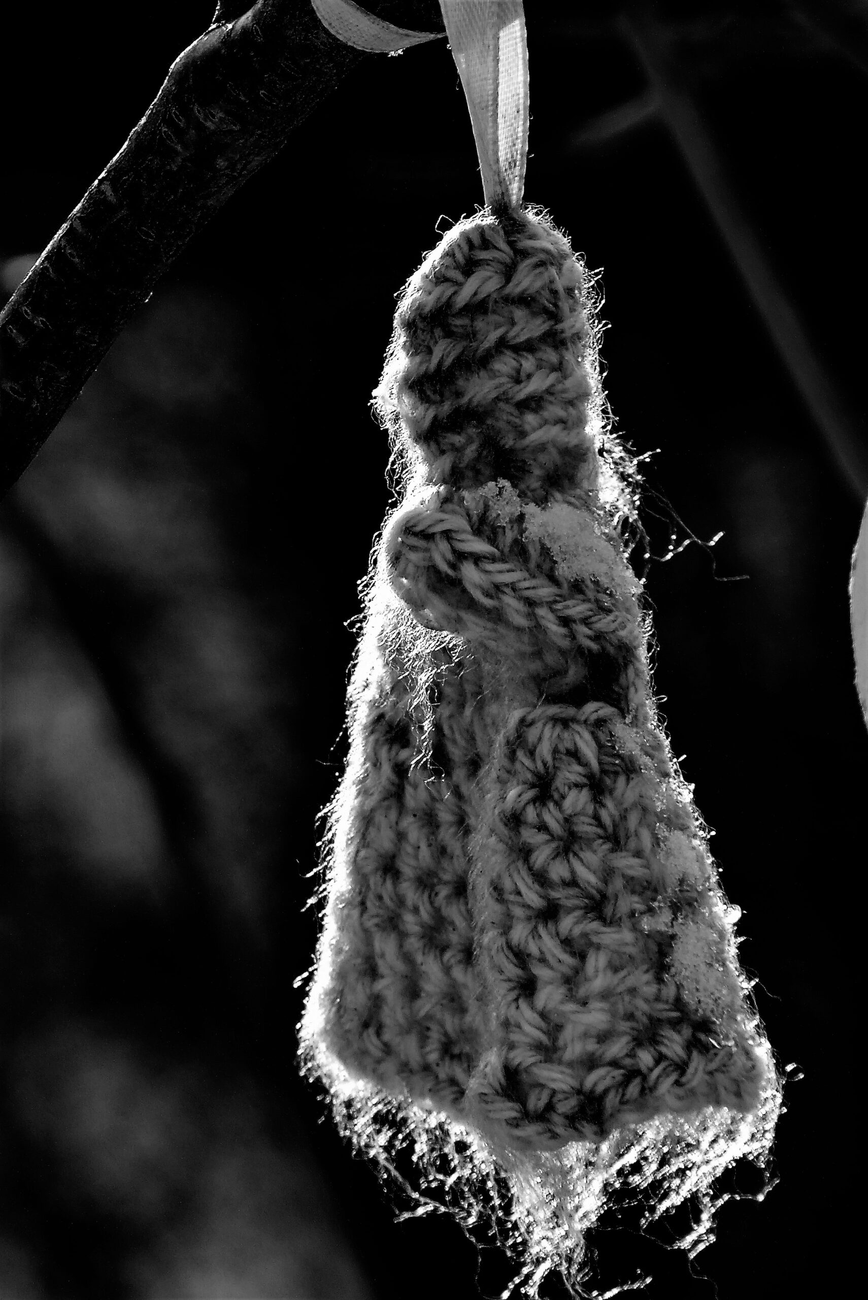 Sounding the Angel – Anne Whitehead