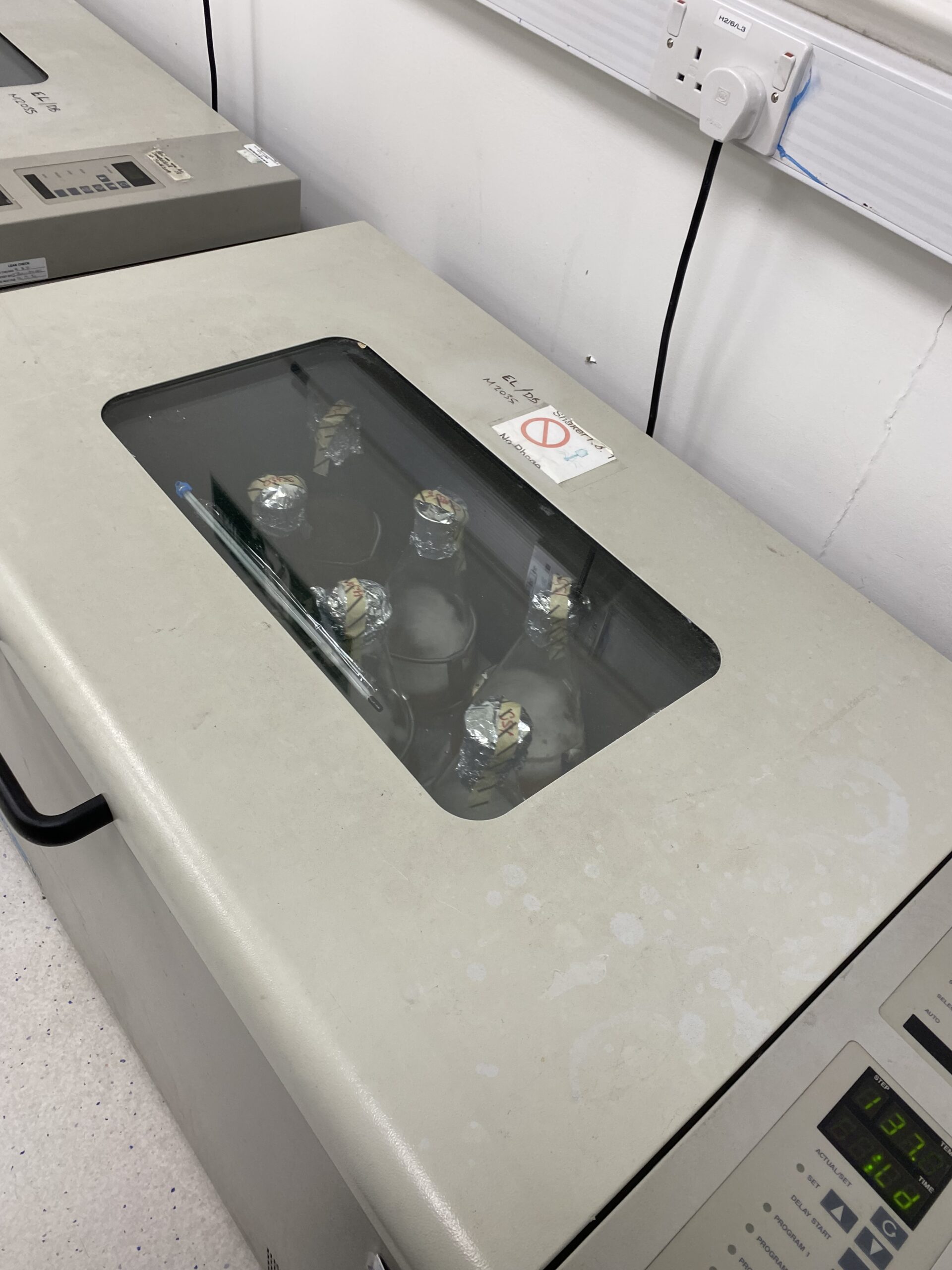 What a “Wonderful World of Microbiology” Event – SBNS Blog