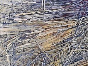 Drawing | Just another NCL Blog Service site