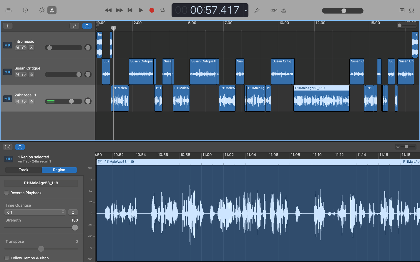 Case Study – Audio Commentaries on Client Consultations – Susan Lennie ...