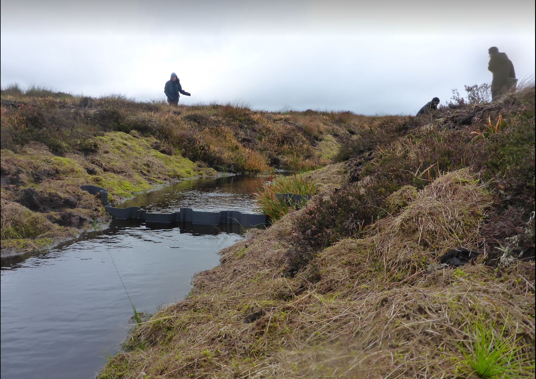 Environmental Science – Field Work in Stage 3 | Blog from the bog – and ...
