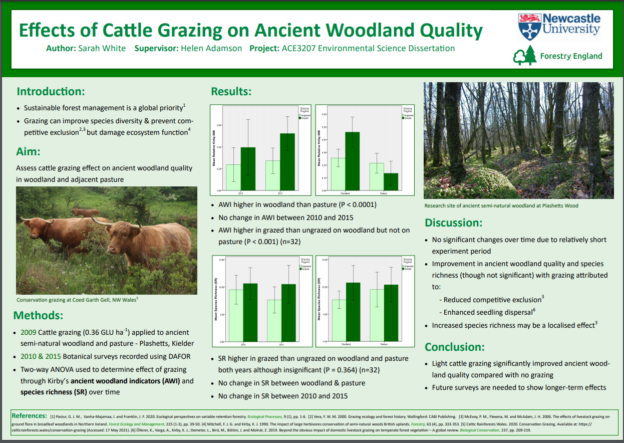 Undergraduate Dissertation Posters | Blog from the bog – and beyond