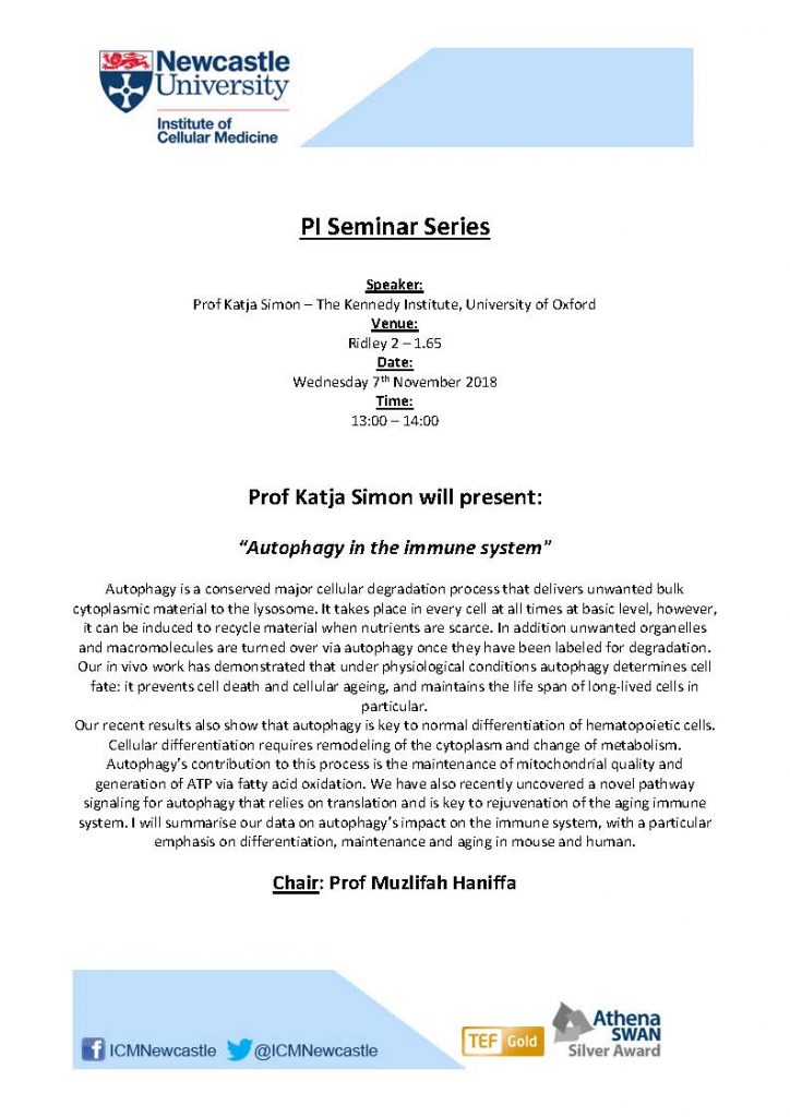 PI Seminar – Prof Katja Simon | ICM Research Funding Opportunities