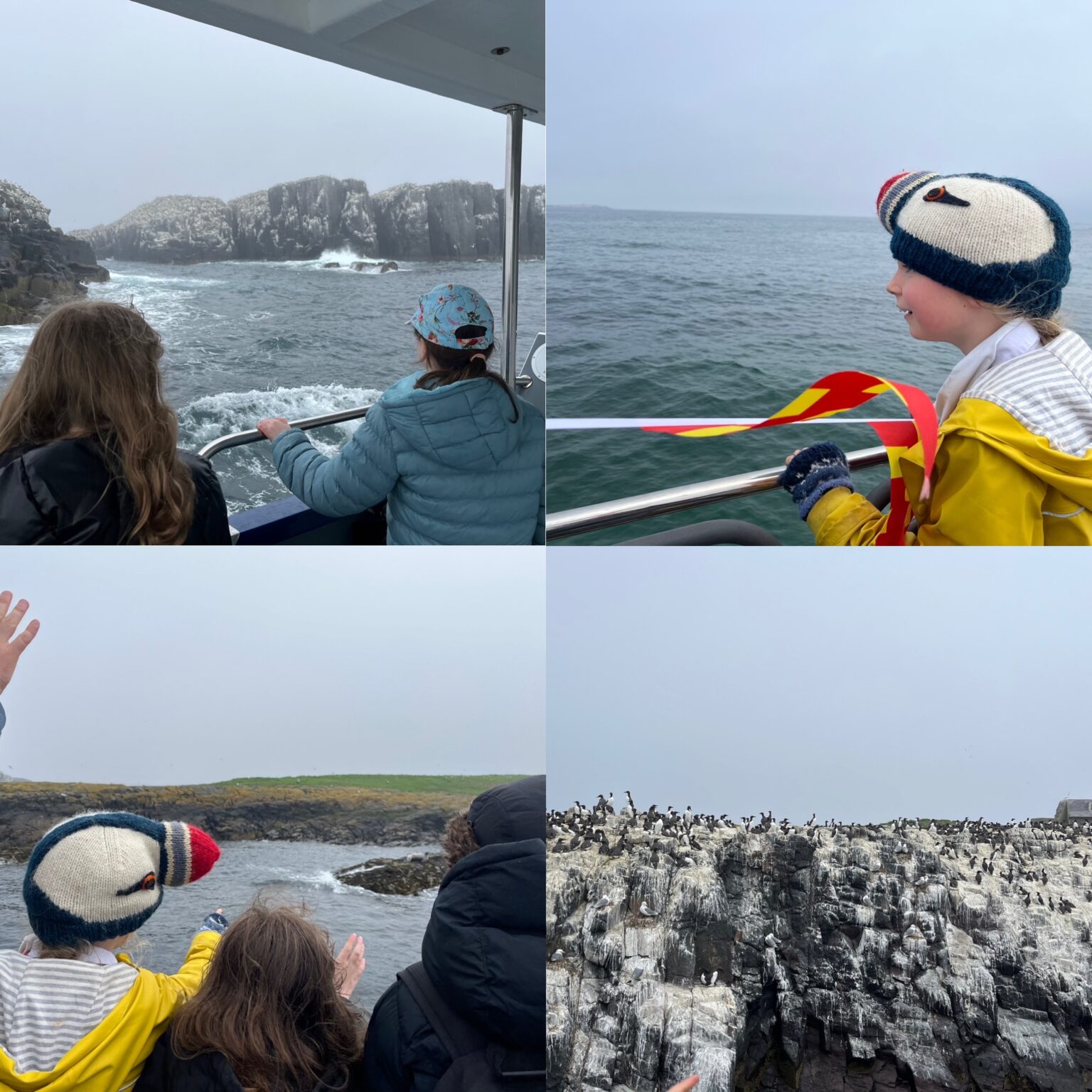 KATS: North East Combined Authority Competition Winners go on Puffin ...