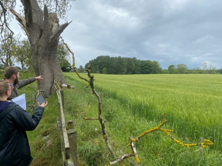 Agroforestry research at Newcastle University | TROPS – TROPical landScapes