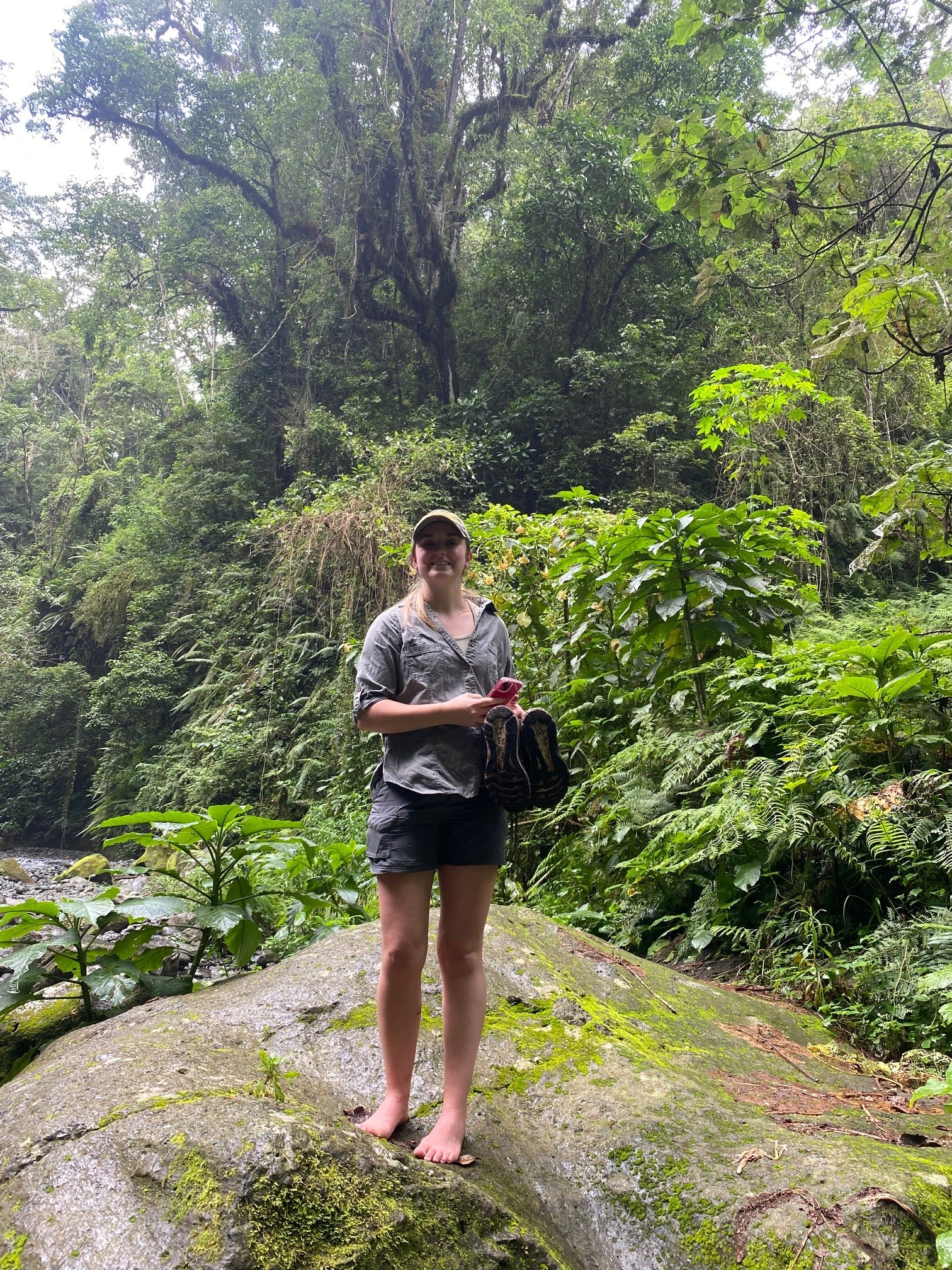 Sheena Davis | TROPS – TROPical landScapes