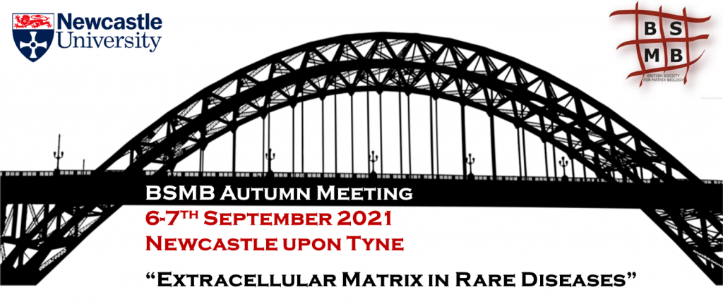 The final programme of the BSMB meeting next week is here ...