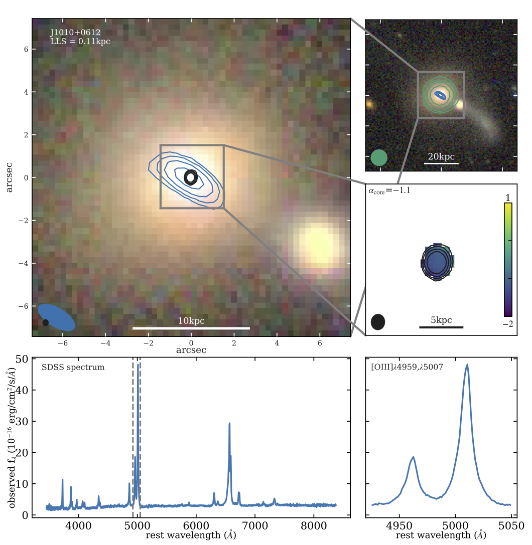 Sample and Target Data – Quasar Feedback Survey