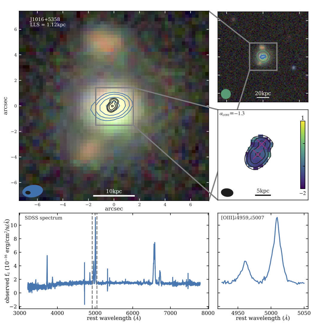 Sample and Target Data – Quasar Feedback Survey