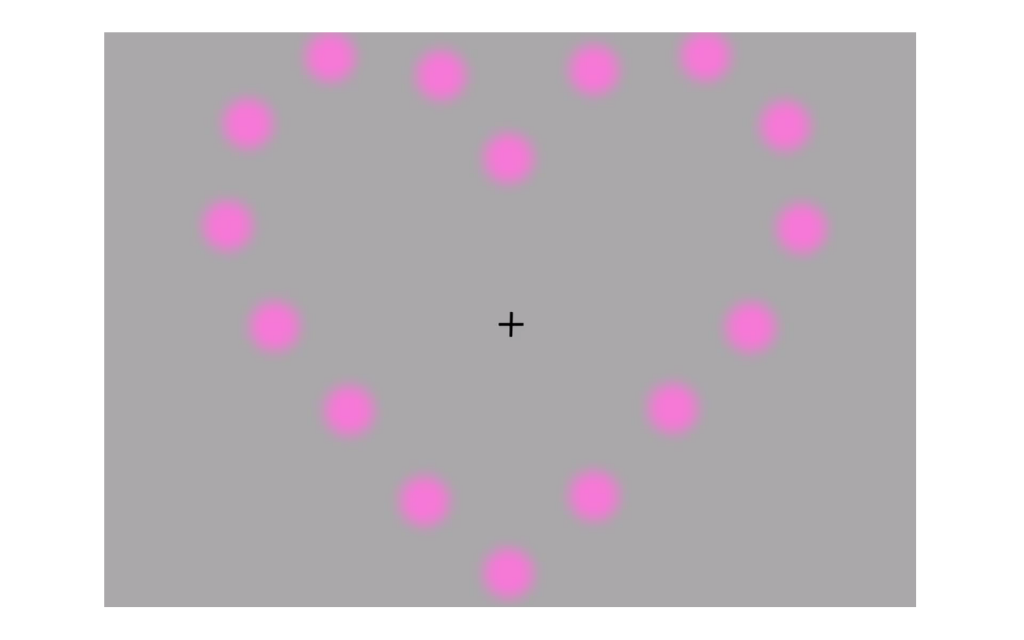 optical illusion | STEM Newcastle