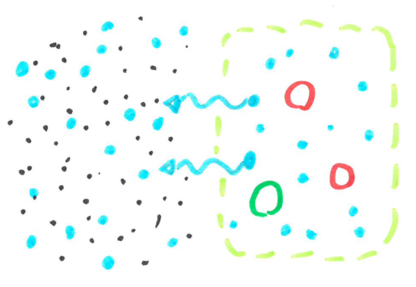 osmosis | STEM Newcastle