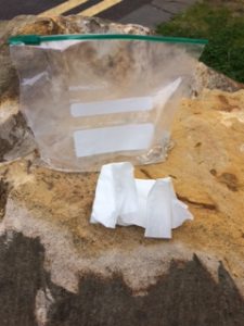 #TryThisTuesday: Exploding Lunch Bag | STEM Newcastle