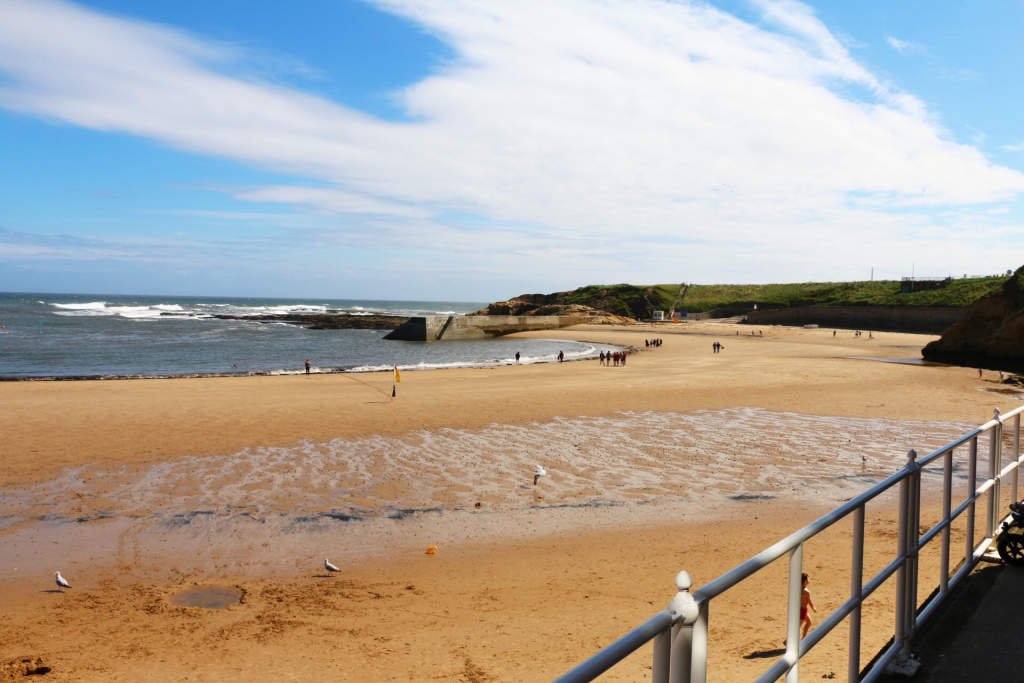 The Great British Beach Clean | STEM Newcastle