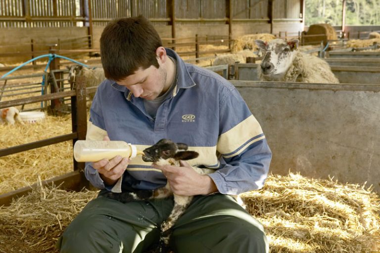 World Animal Day: Zoology vs Animal Science – What is the difference ...