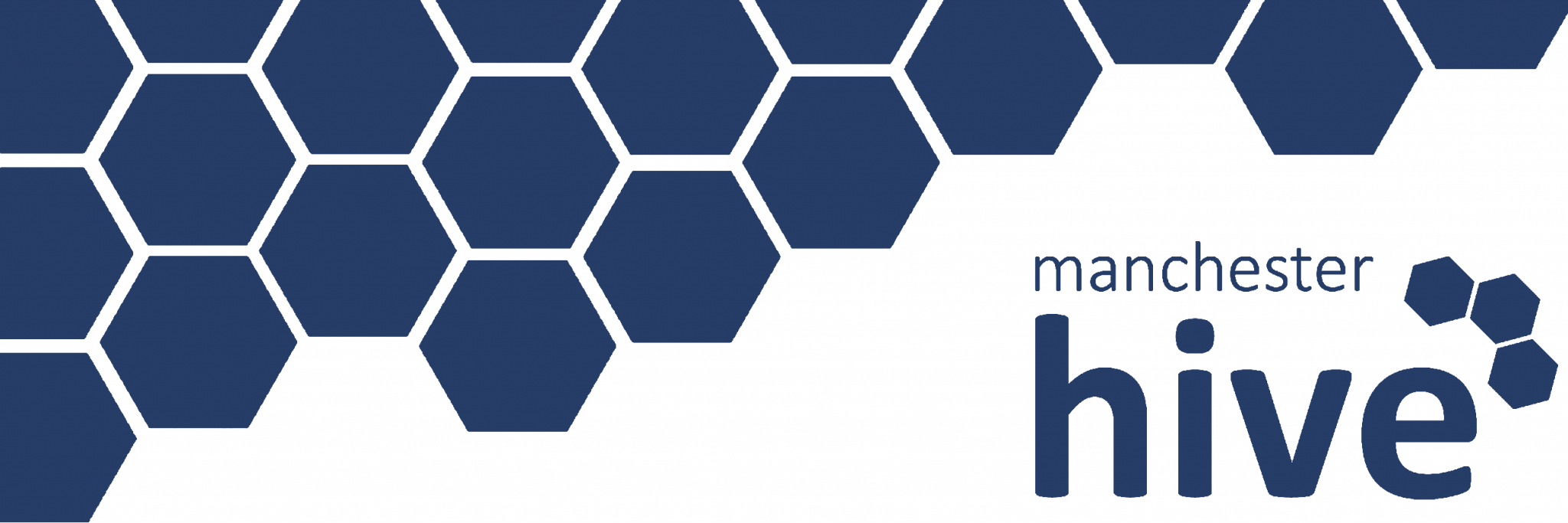 Manchester University Press Hive: International Relations e-book ...