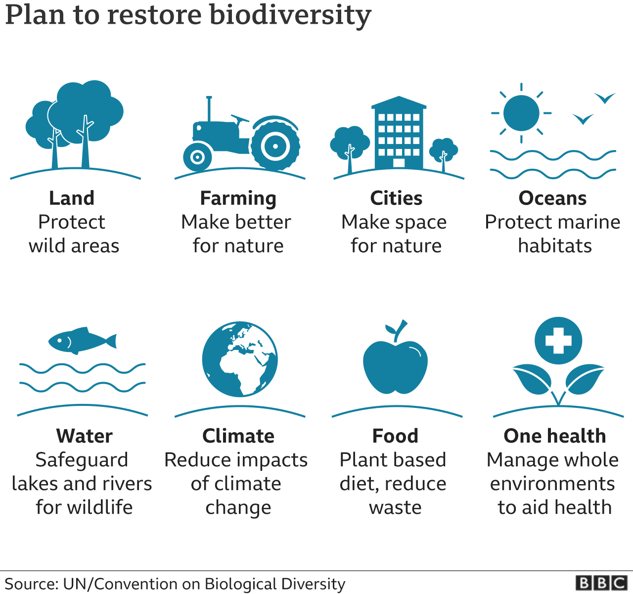 An introduction to biodiversity | Sustainability