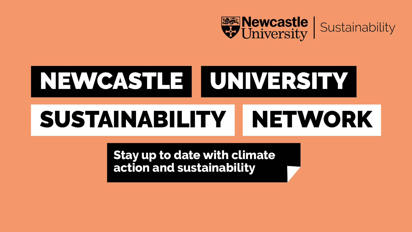 Sustainability tips and tricks for individuals on the move ...