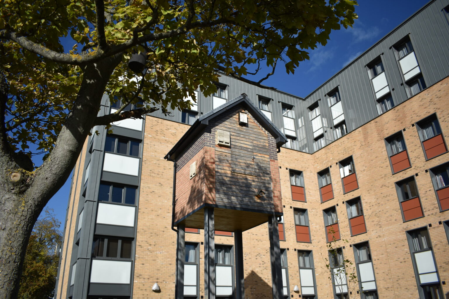 Supporting ecosystems: Biodiversity Net Gain at Newcastle University ...
