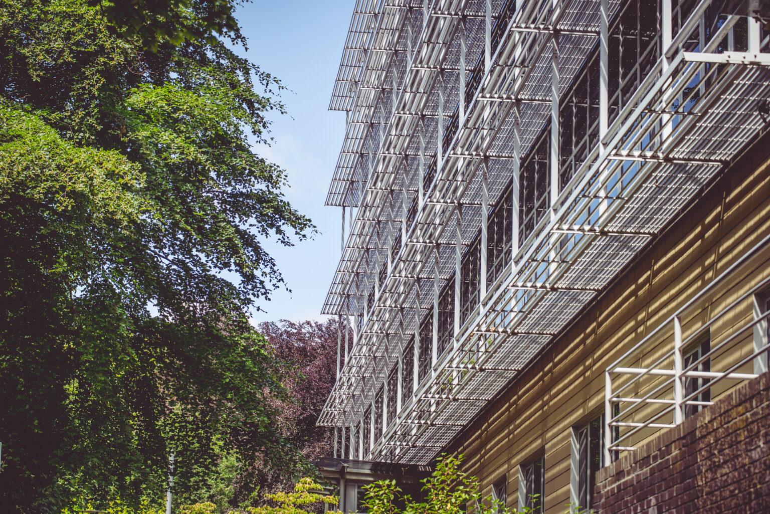 Supporting ecosystems: Biodiversity Net Gain at Newcastle University ...
