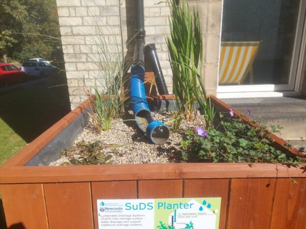 Sustainable Drainage Systems: The Future of Flood and Water Management ...