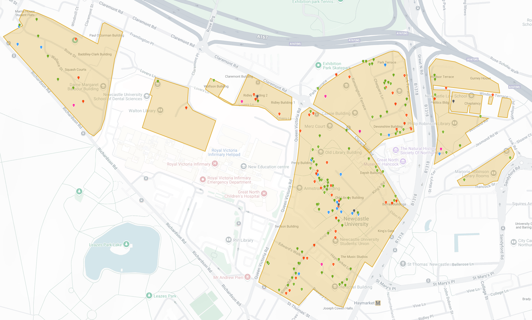 Your Guide to iNaturalist: Celebrating the Launch of Our Newcastle ...